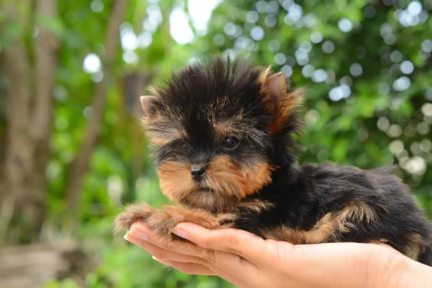 What Is The Best Phone Number Scraper In 2023?